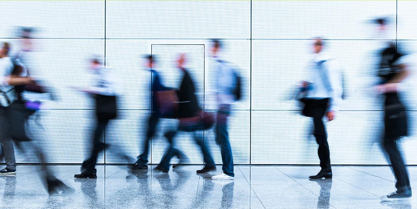 აღდგენის დინამიკა